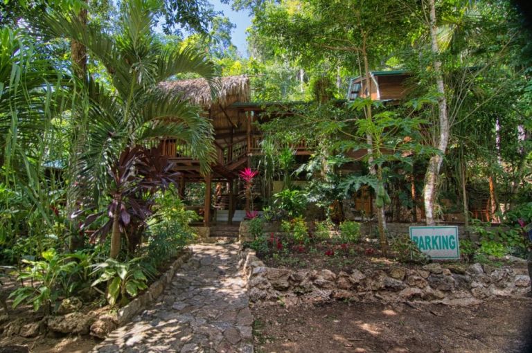 Belize Toucan House - Jungle Splash Eco-Tours